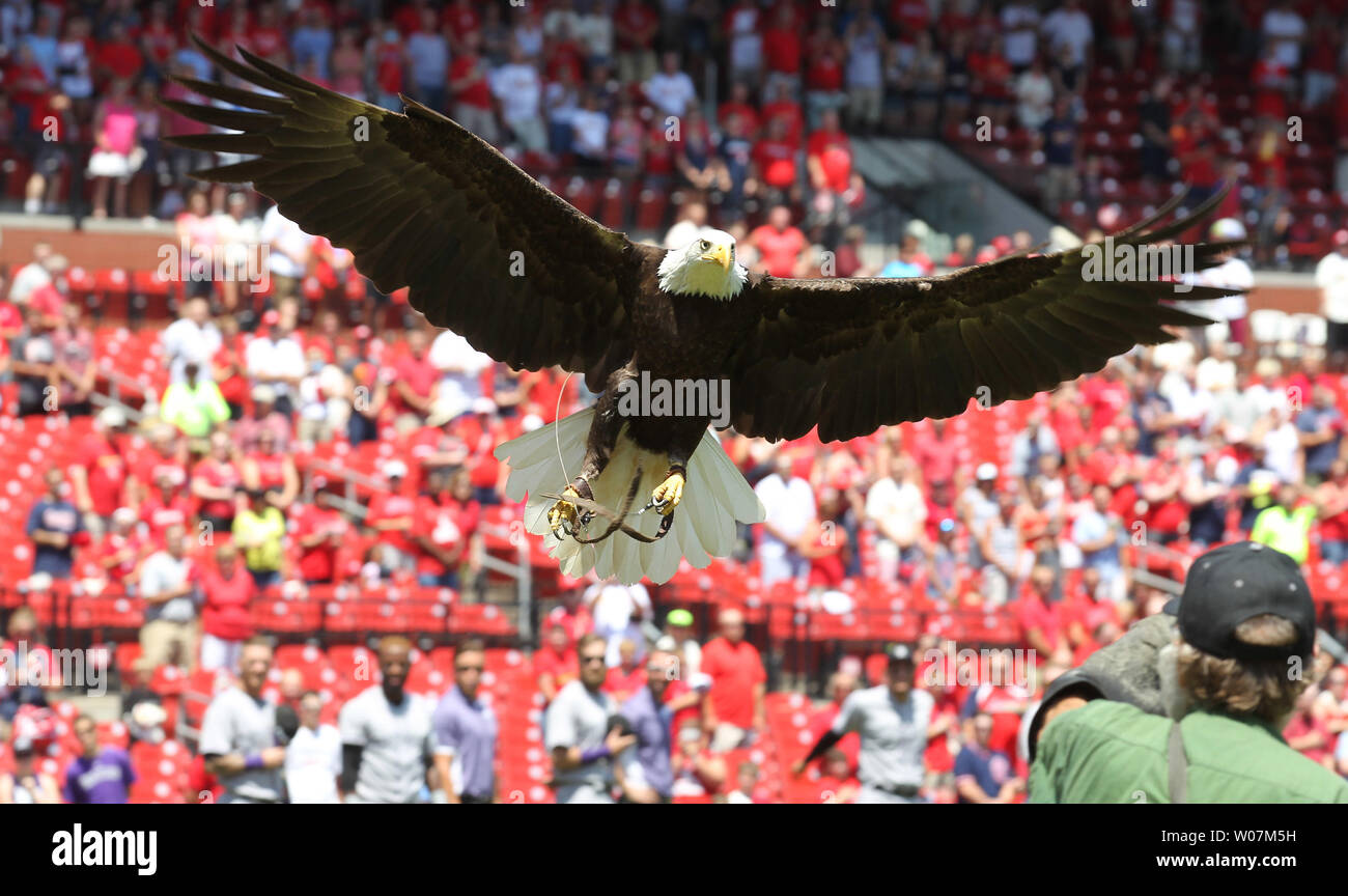 Eagle around the world hi-res stock photography and images - Alamy