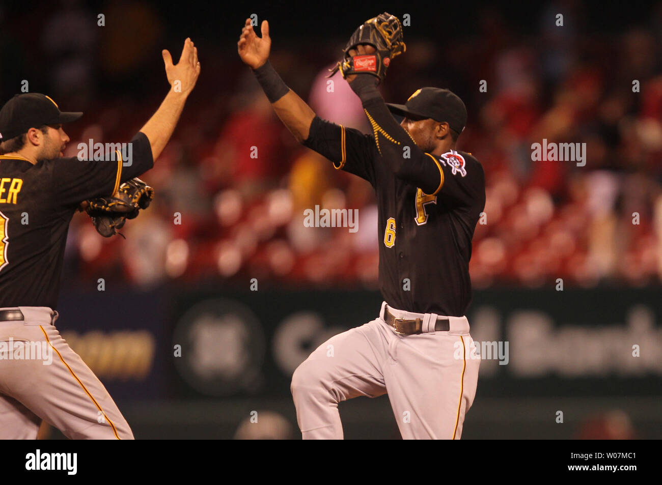 L starling hi-res stock photography and images - Alamy