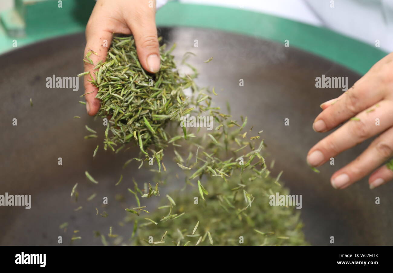 Hand fried tea hi-res stock photography and images - Alamy