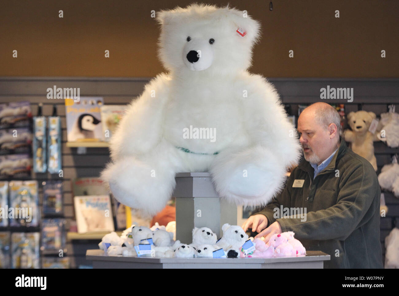 A St. Louis Zoo gift shop employee restocks the stuffed polar bear ...