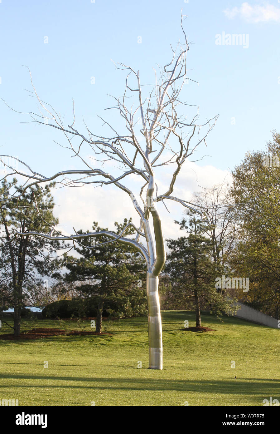 Placebo, a stainless steel tree, reflects the afternoon sun at the Art Museum in Forest Park in ...