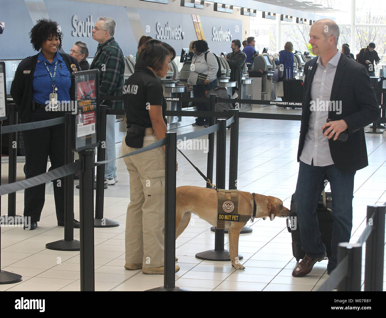 Explosives detection hi-res stock photography and images - Alamy