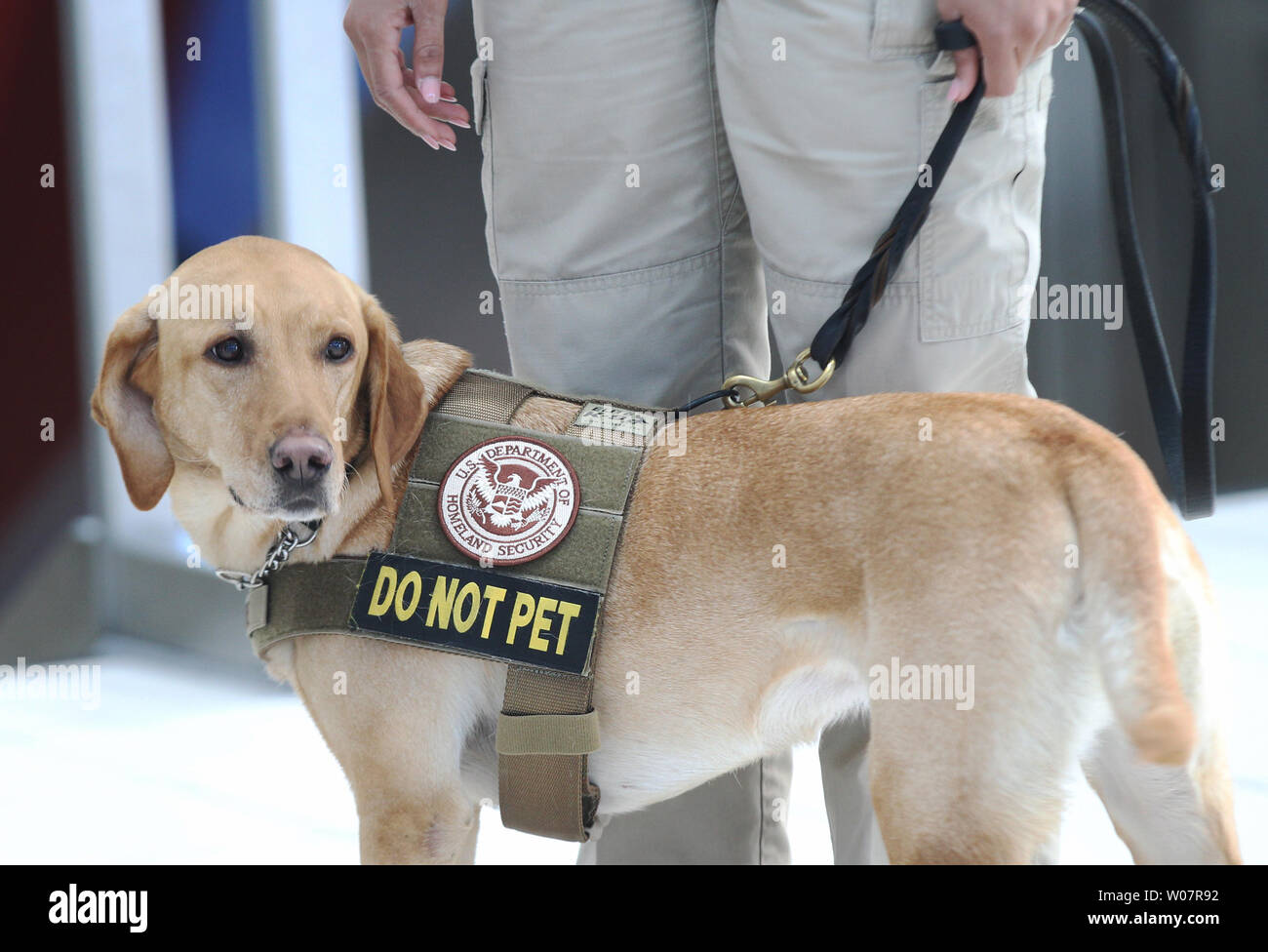 Explosives detection hi-res stock photography and images - Alamy