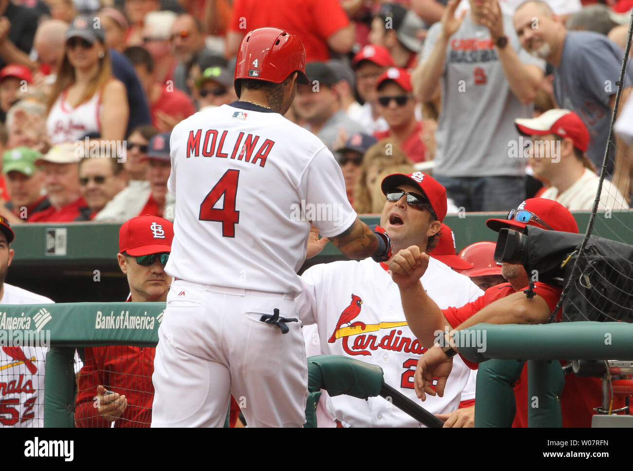 Words in wild hi-res stock photography and images - Alamy