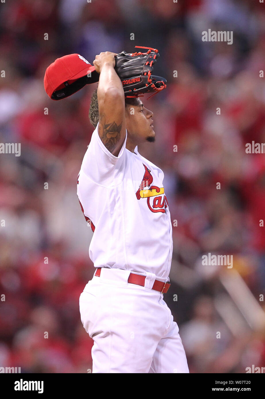 St. Louis Cardinals starting pitcher Carlos Martinez rests his glove on ...