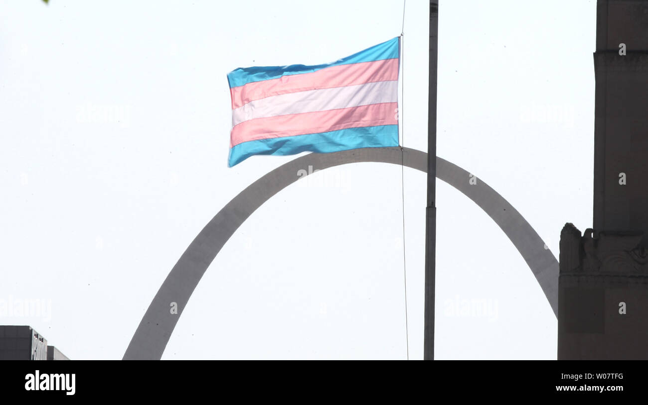 A transgender flag flys near St. Louis City Hall with the Gateway Arch ...
