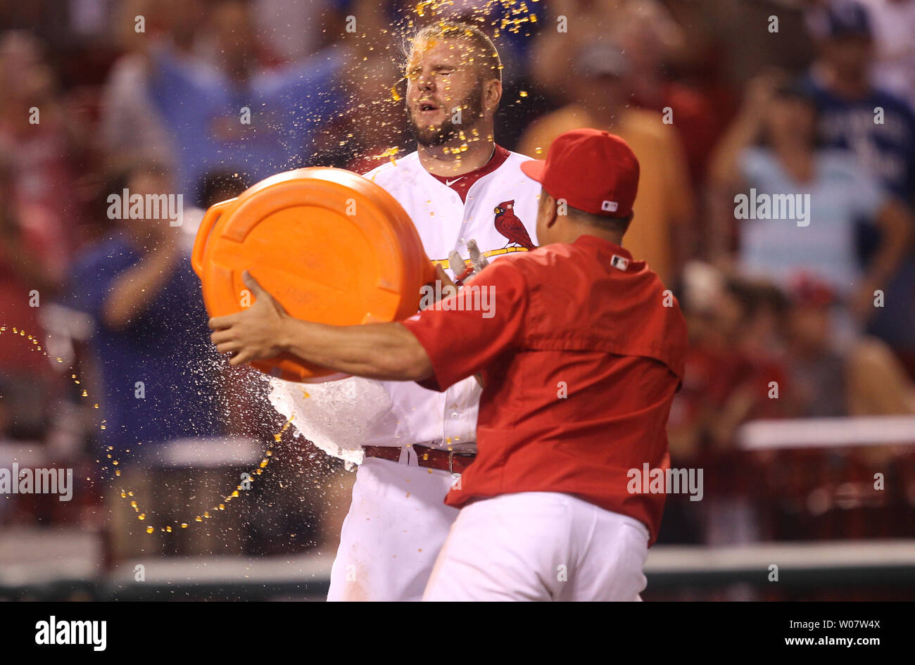 St. Louis Cardinals Matt Adams is splashed with a cooler of Gatoraide ...