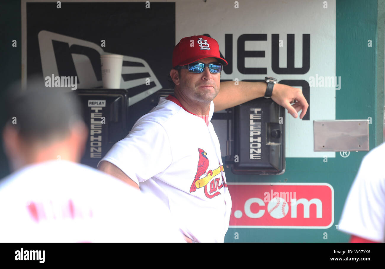 St. Louis Cardinals manager Mike Matheny stands in the dugout as his ...