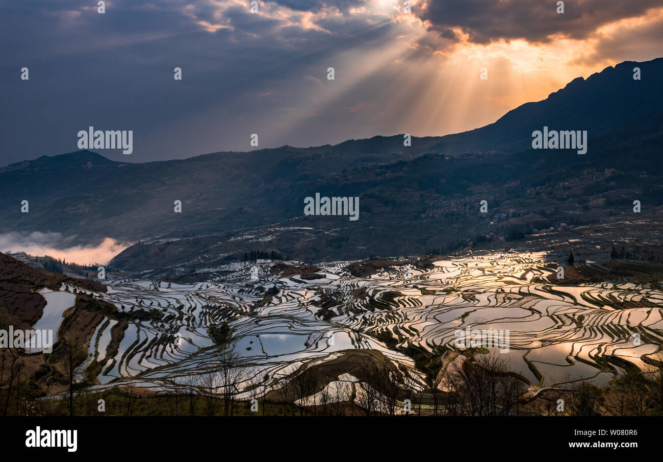Yuanyang lake hi-res stock photography and images - Alamy