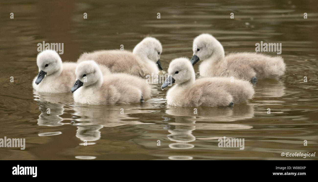 Quick break hi-res stock photography and images - Alamy