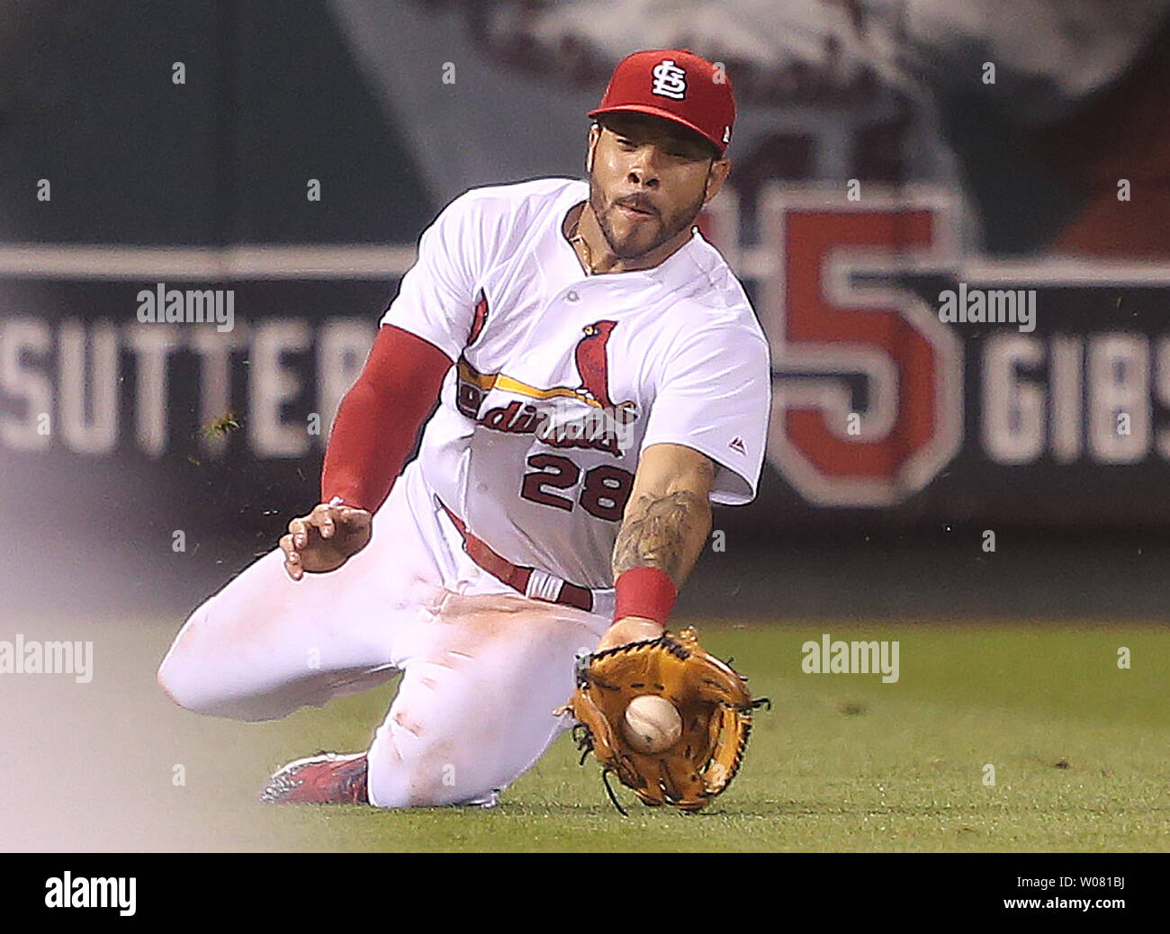 St. Louis Cardinals Tommy Pham makes a diving catch on a ball off the ...