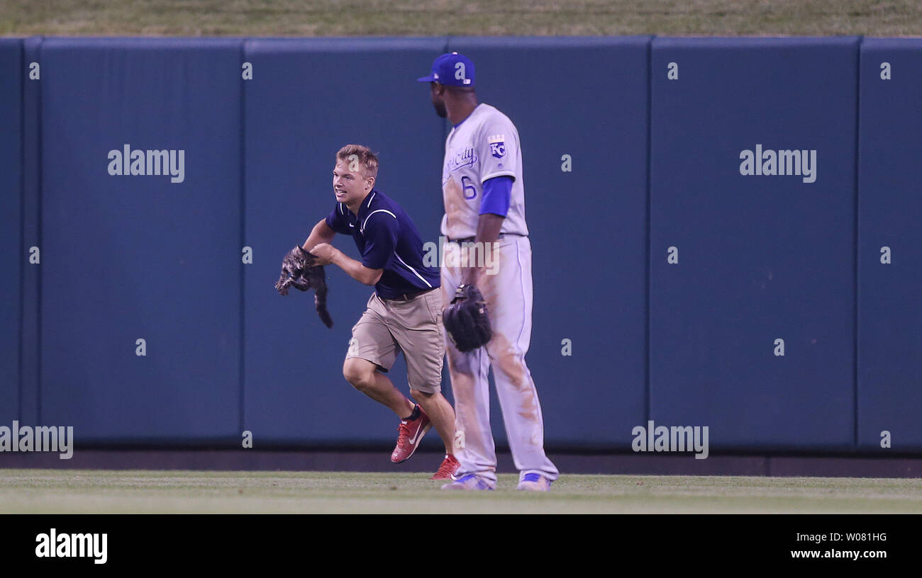 Kansas City Royals Lorenzo Cain watches as Busch Stadium grounds keeper ...