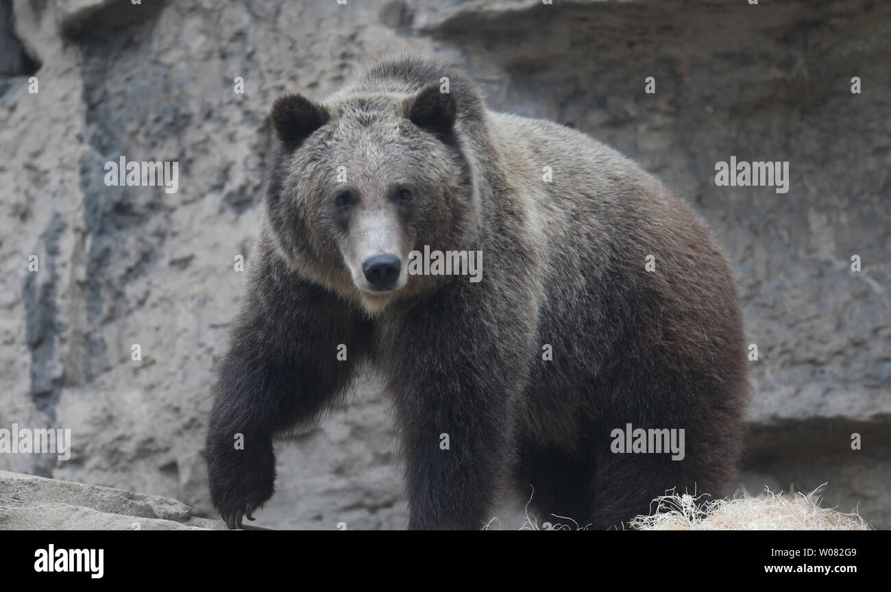 Bill huck hi-res stock photography and images - Alamy