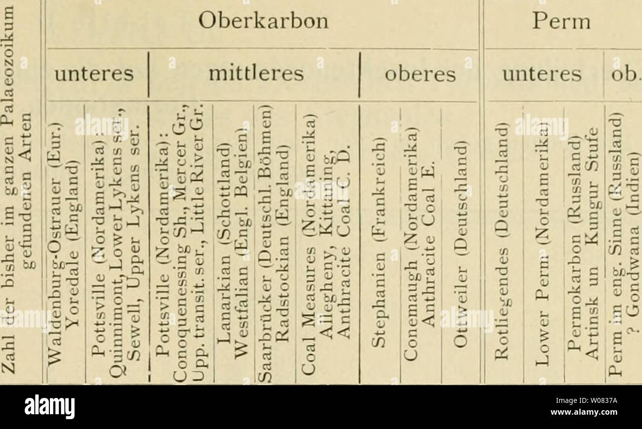 Protodonata hi-res stock photography and images - Alamy