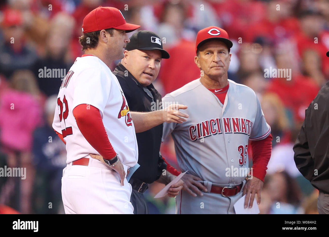Home Plate umpire Mark Carlson explains ground rules to St. Louis ...