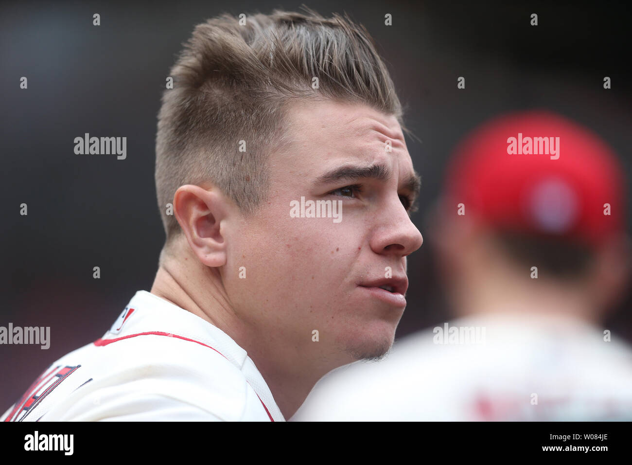 New St. Louis Cardinals outfielder Tyler O'Neil watches his team take ...