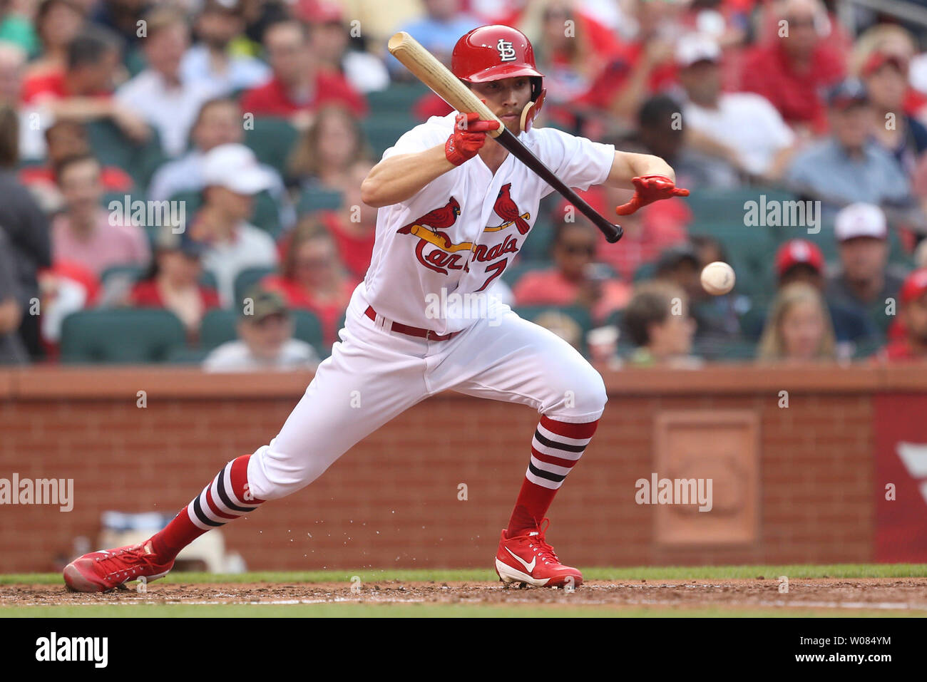 St. Louis Cardinals starting pitcher Luke Weaver lays down a successful ...