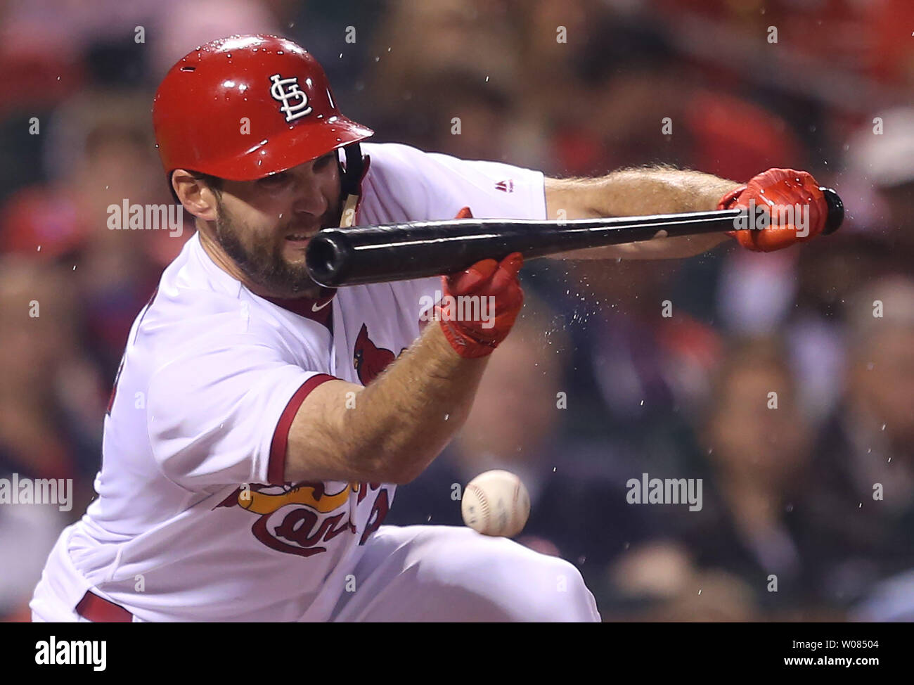 St. Louis Cardinals starting pitcher Michael Wacha lays down a ...