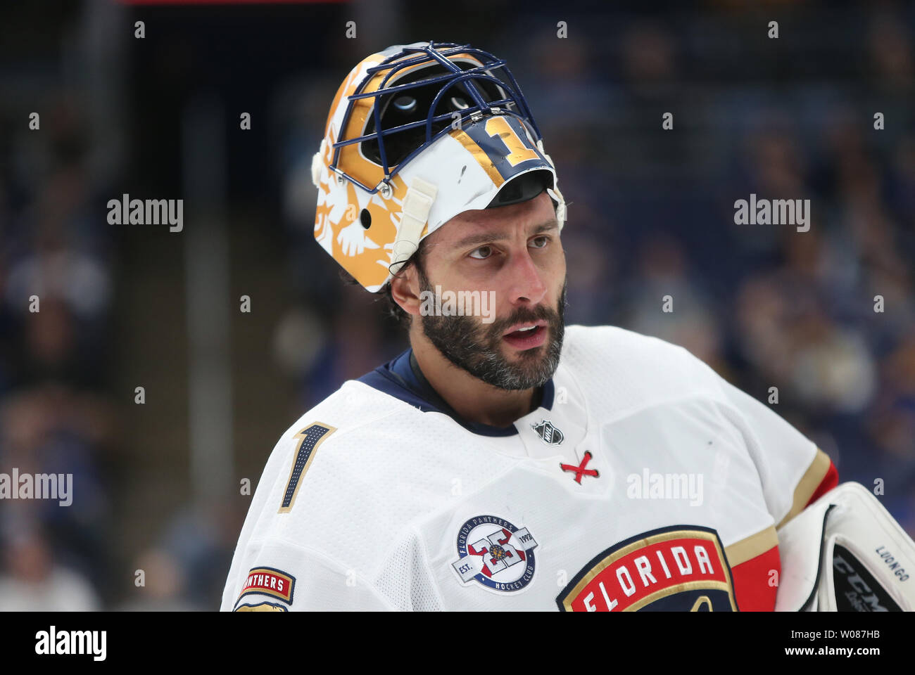 Roberto Luongo Captain