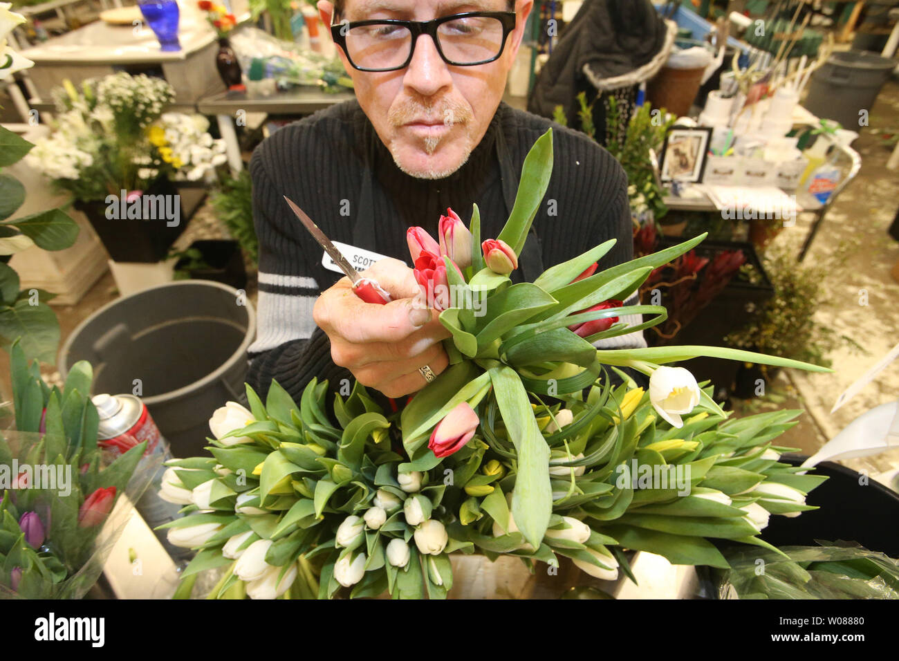 Master Designer Scott Hepper arranges tulips for a Valentines Day order ...