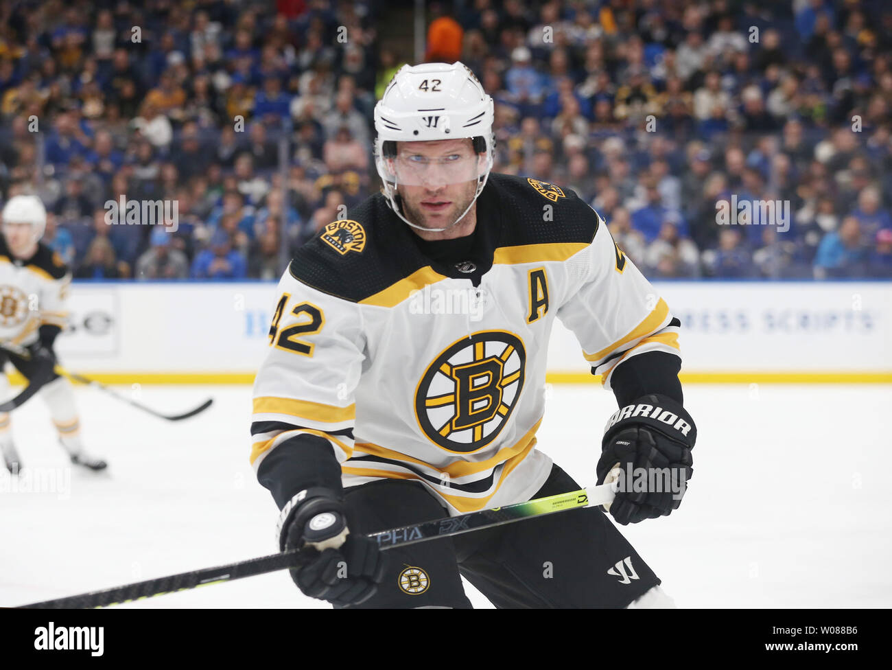 Action photo boston bruins hi-res stock photography and images - Alamy