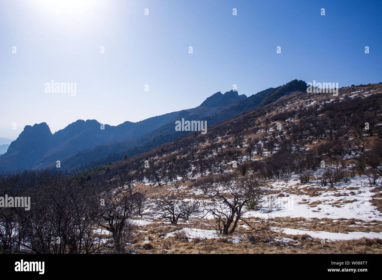 Qinling Shandi Mountains