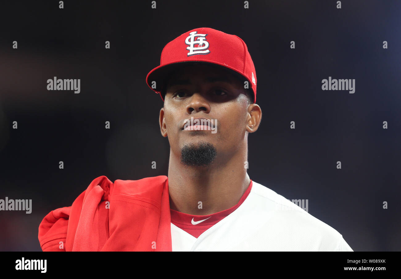 Genesis bull hi-res stock photography and images - Alamy