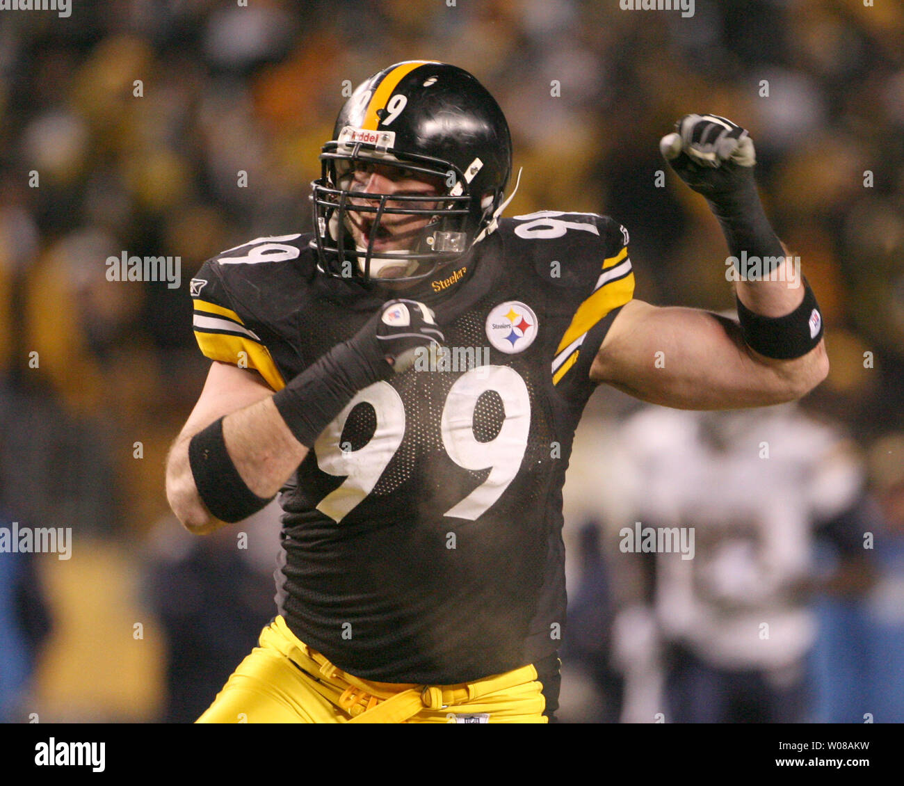 Brett Keisel Sack