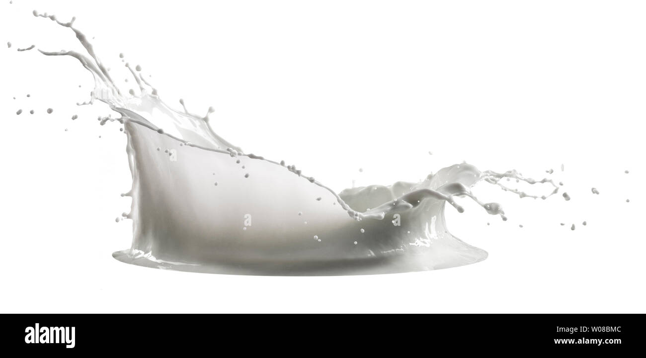 milk splash isolated on white background Stock Photo - Alamy