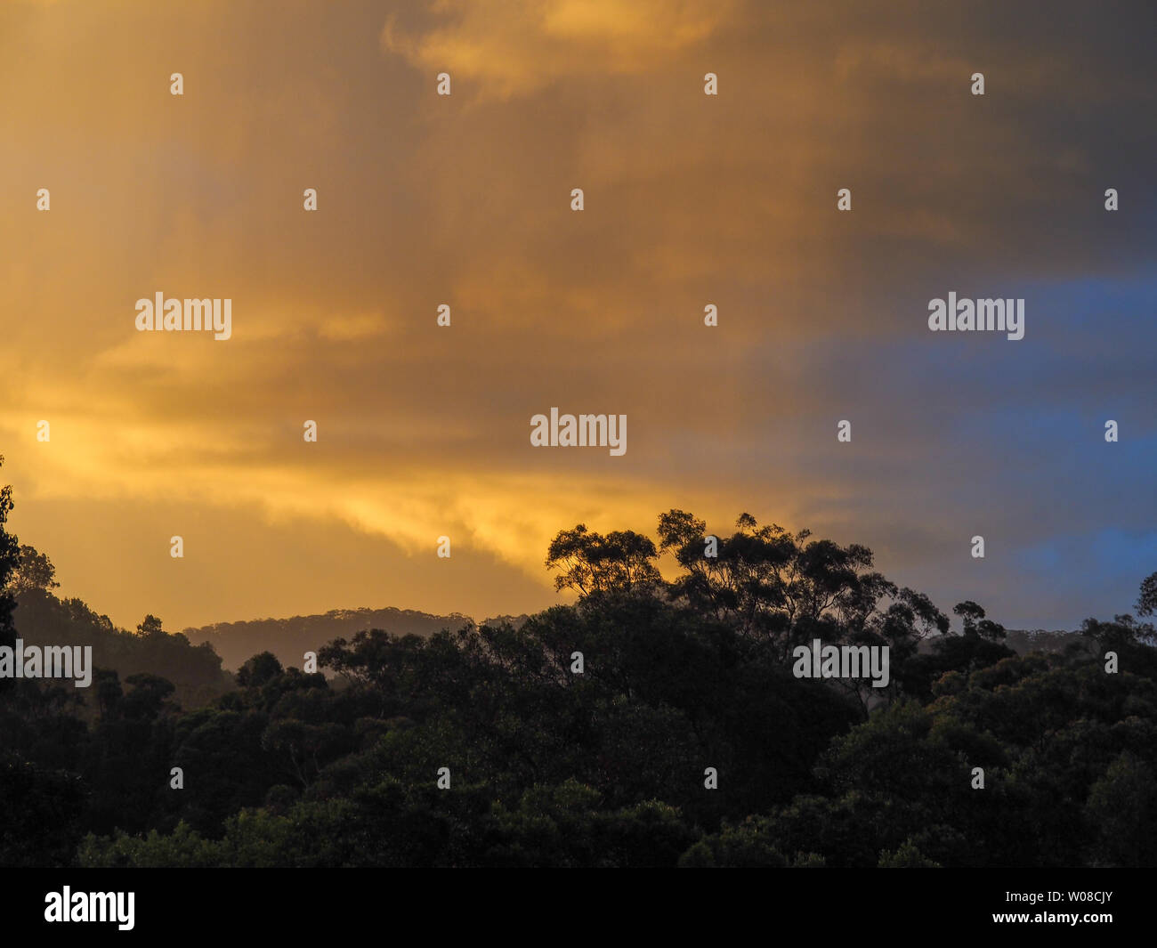 Shades of gold orange amber yellow hi-res stock photography and images ...