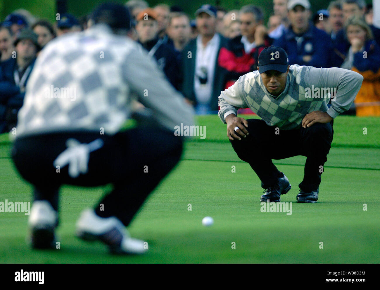 Usa tiger woods lines up putt on the first green hi-res stock ...