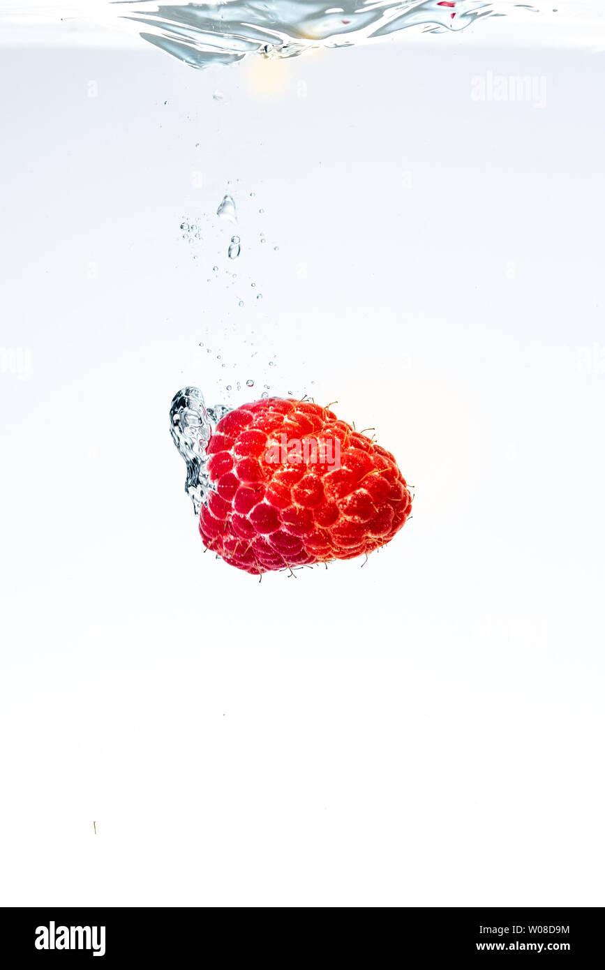 Raspberry splashing into crystal clear water with air bubbles sinking ...