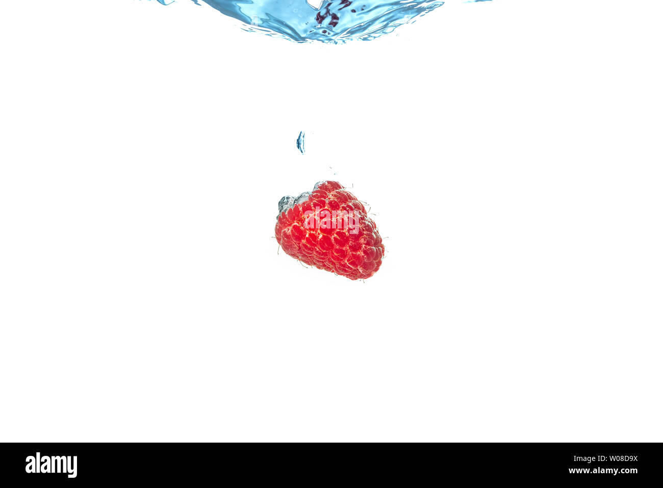 Raspberry splashing into crystal clear water with air bubbles sinking ...