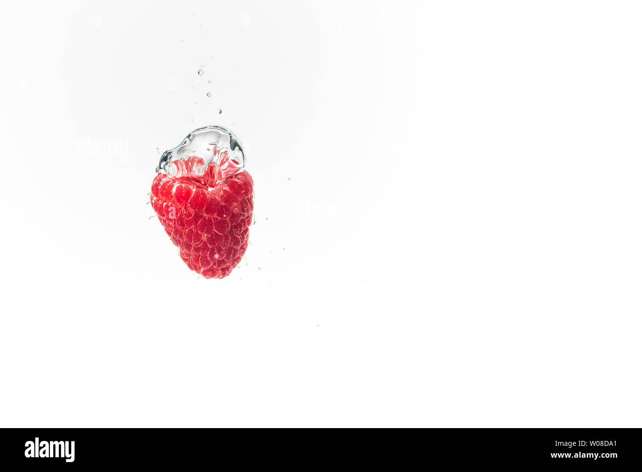 Raspberry splashing into crystal clear water with air bubbles sinking ...