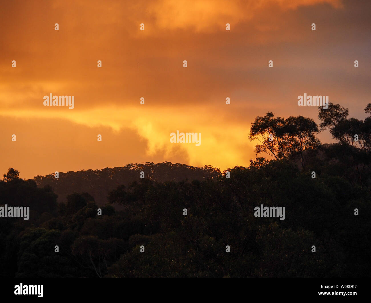 Amber Sunset High Resolution Stock Photography and Images - Alamy
