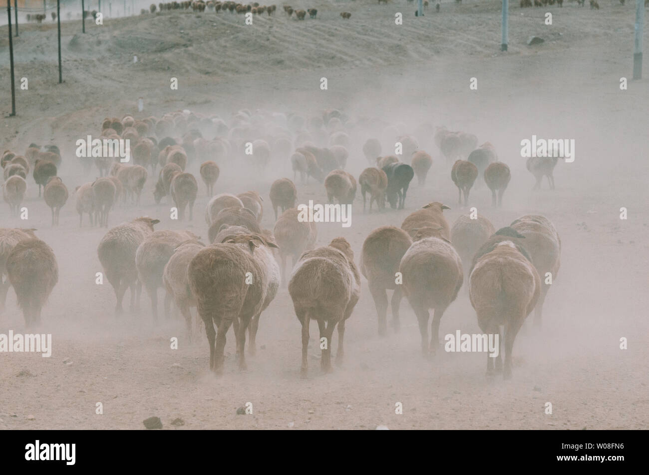 Migrations hi-res stock photography and images - Alamy