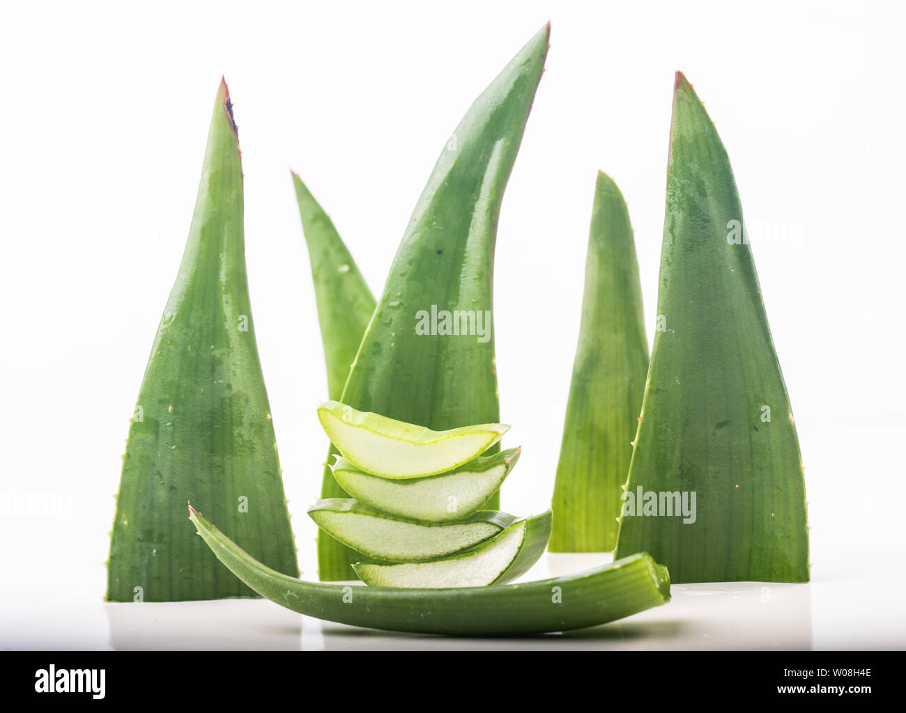 Cut aloe leaves on white background isolated Stock Photo - Alamy