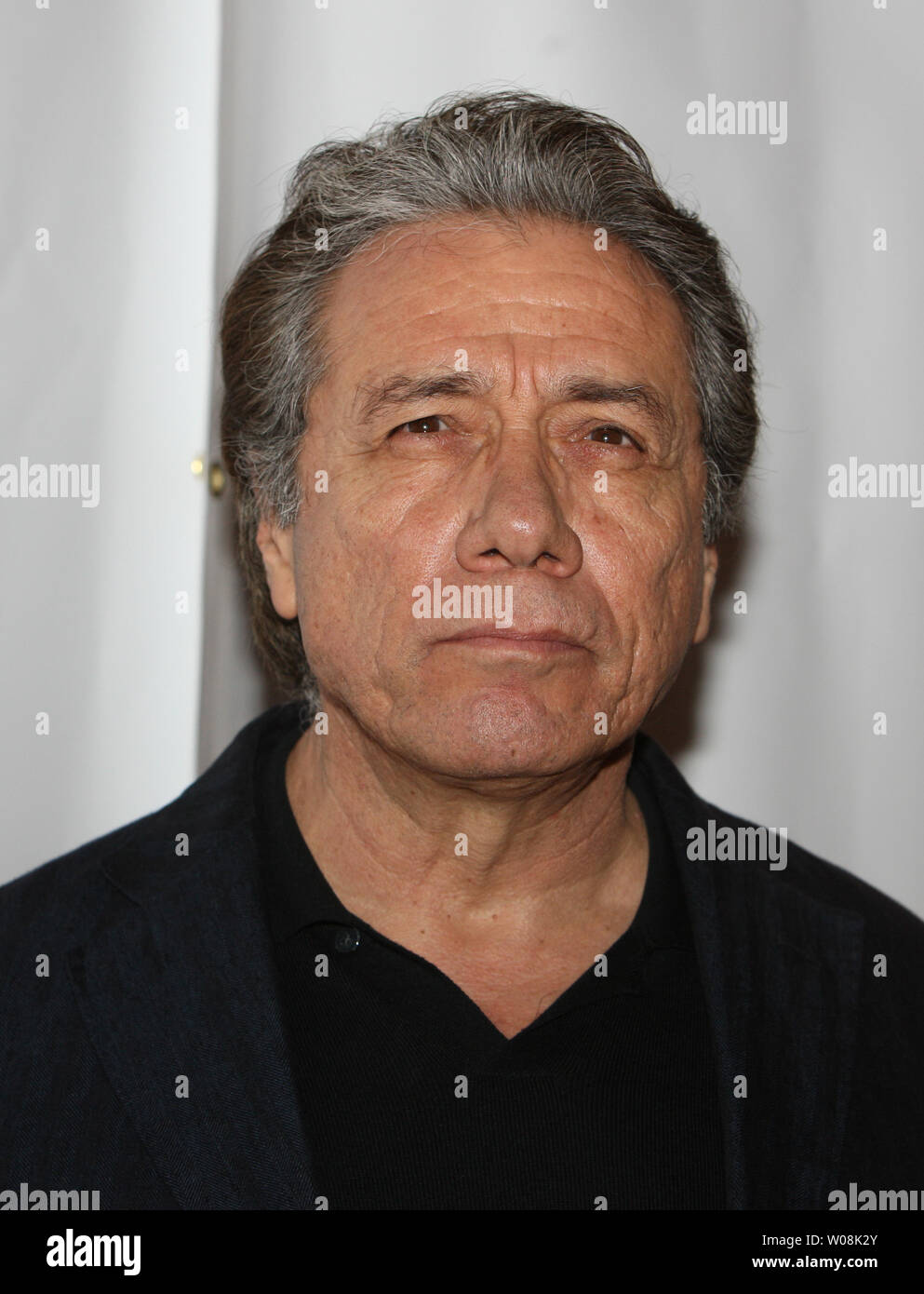 Benefit for painted turtle hi-res stock photography and images - Alamy