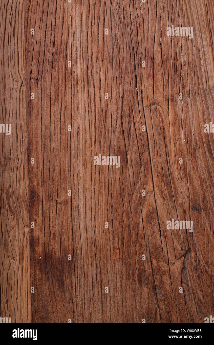 Elm tree furniture hi-res stock photography and images - Alamy