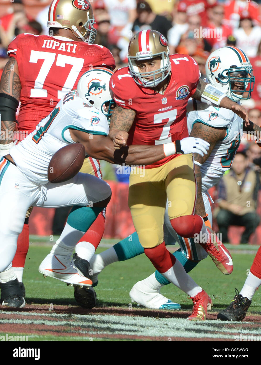 San Francisco 49ers QB Colin Kaepernick (7) fumbles the ball in the ...