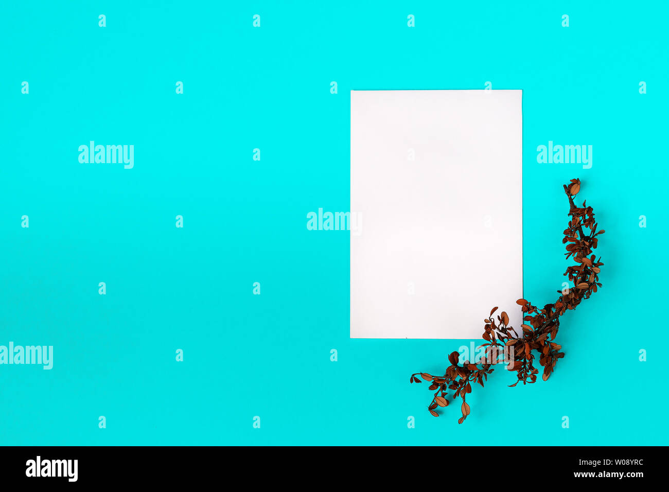 White clean sheet of paper with dry twig in bottom right corner on ...