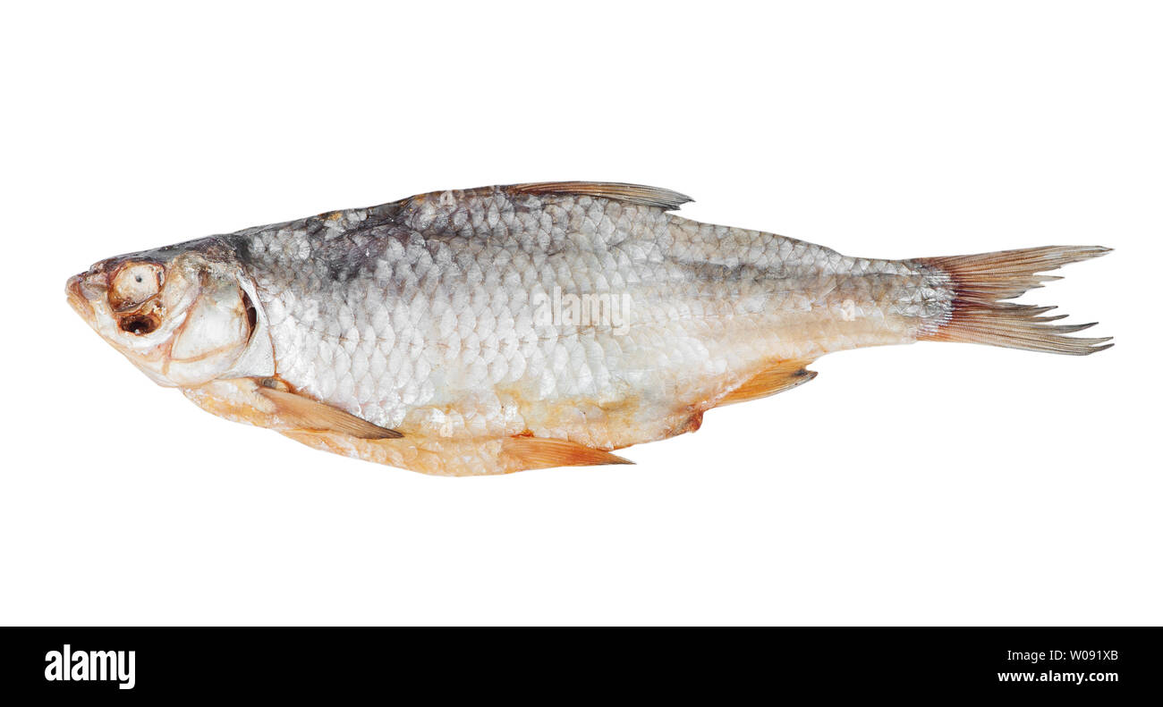 Dried vobla fish isolated on white background Stock Photo - Alamy
