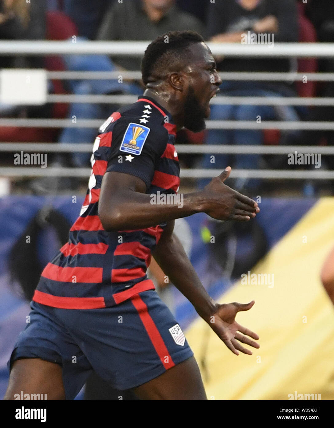 Matt hedges hi-res stock photography and images - Alamy