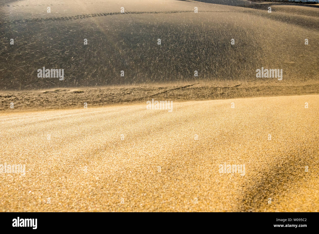 close up of yellow sand grains in the wind during desert storm showing ...
