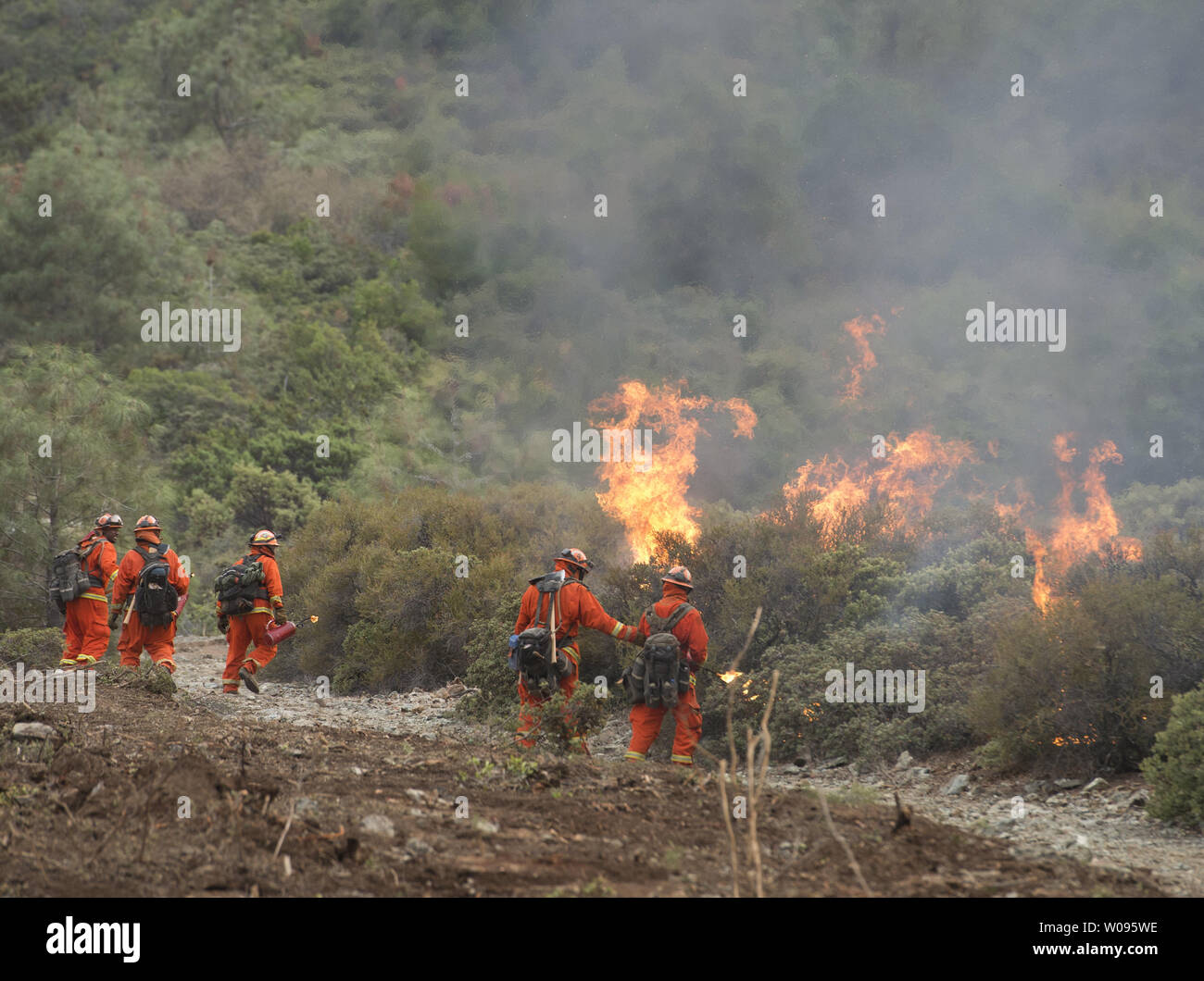 Firefightersl set a backfire along a ridge in Colusa County, California ...