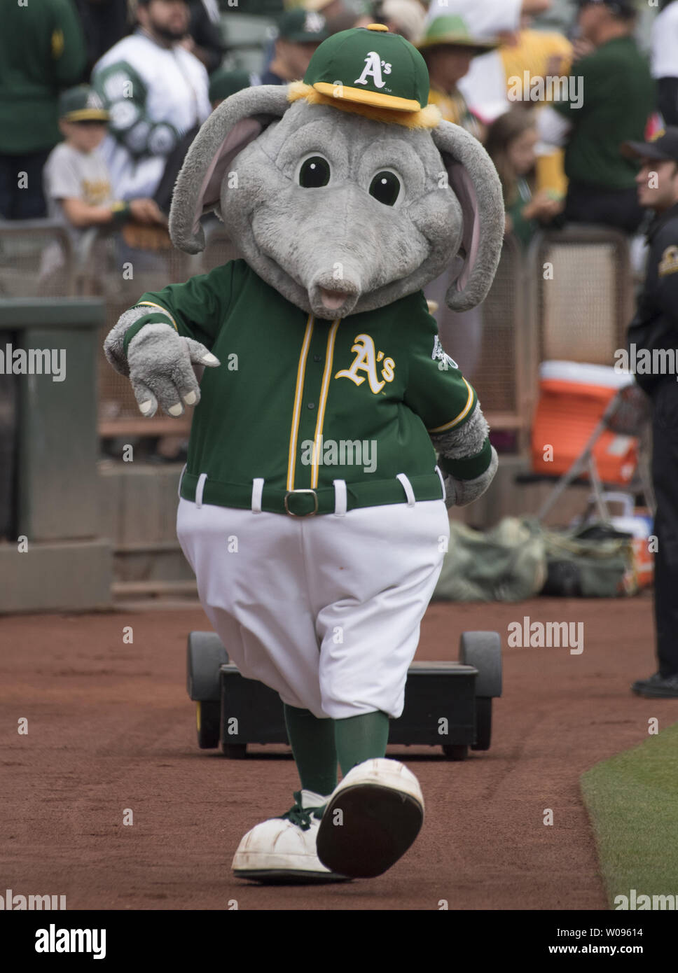 Thumper hi-res stock photography and images - Alamy