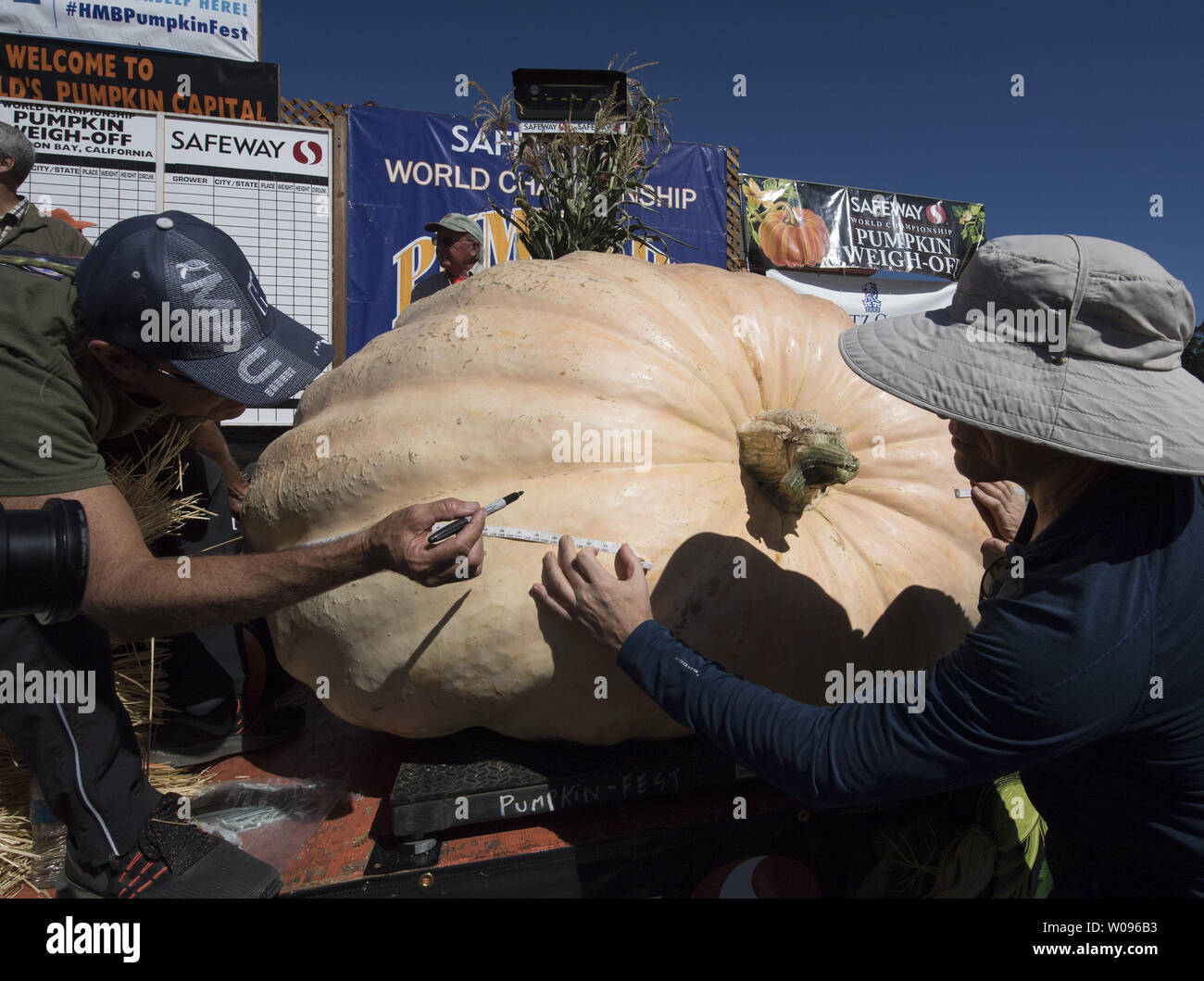Officials measure the 218 inch circumference of a pumpkin grown by ...