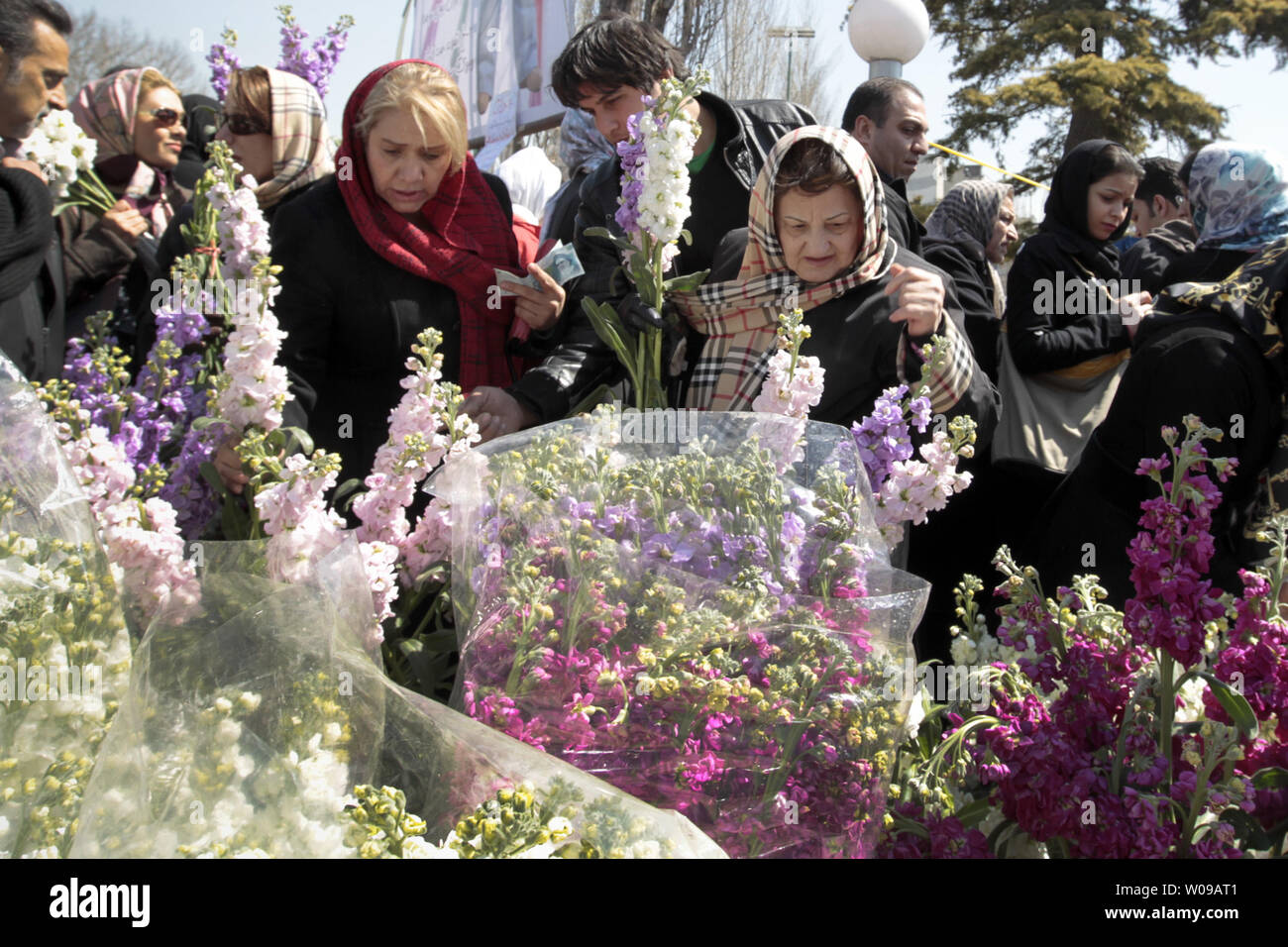 Lingwort hi-res stock photography and images - Alamy