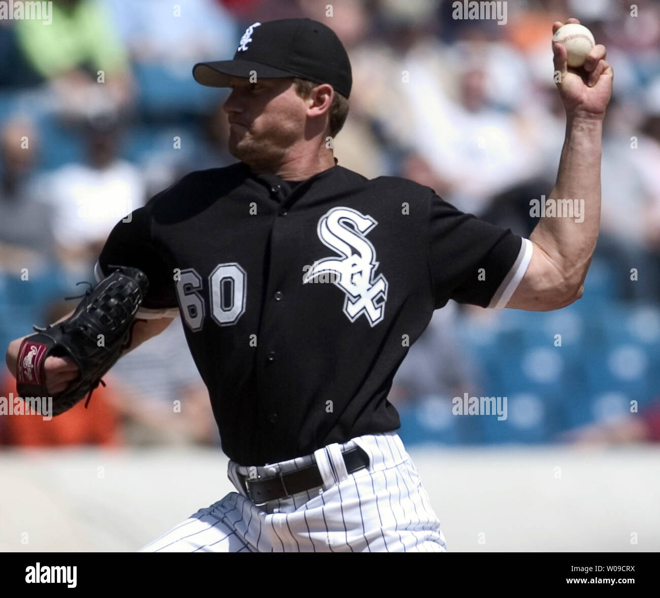 Schoeneweis hi-res stock photography and images - Alamy