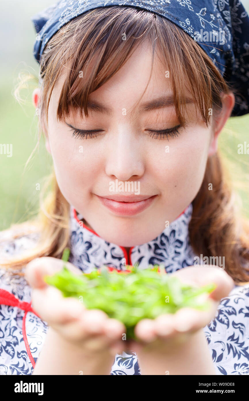 Asian beautiful tea girl in photography Stock Photo - Alamy